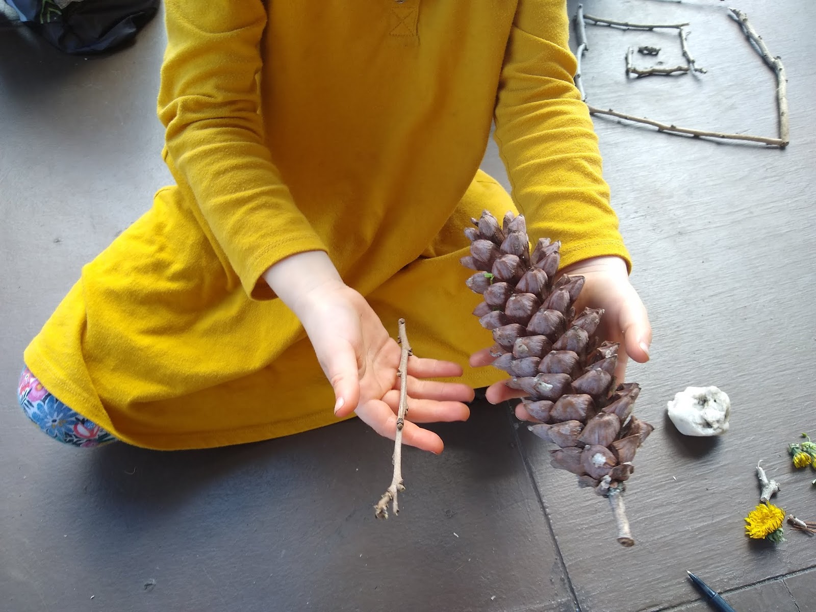 Sacred Heart Montessori: Sorting & Sequencing Activities for home