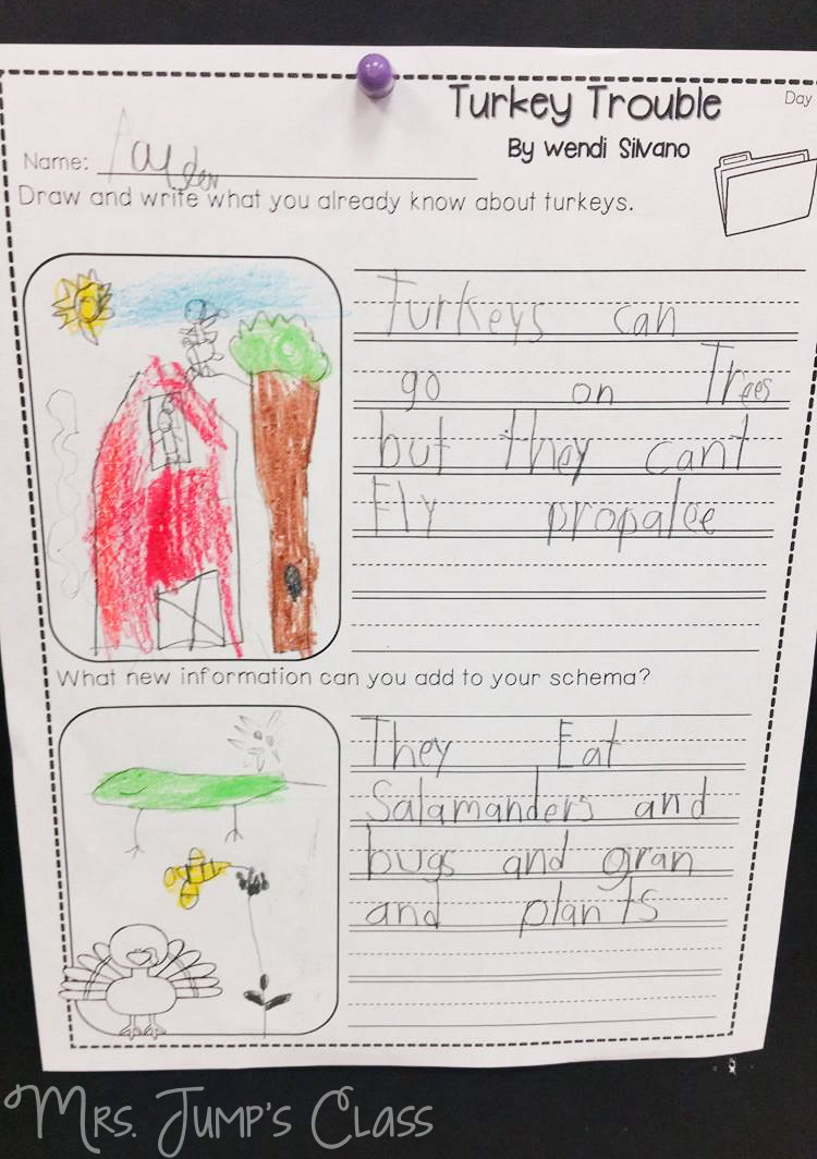 Turkey Trouble reading comprehension activity schema lesson too!