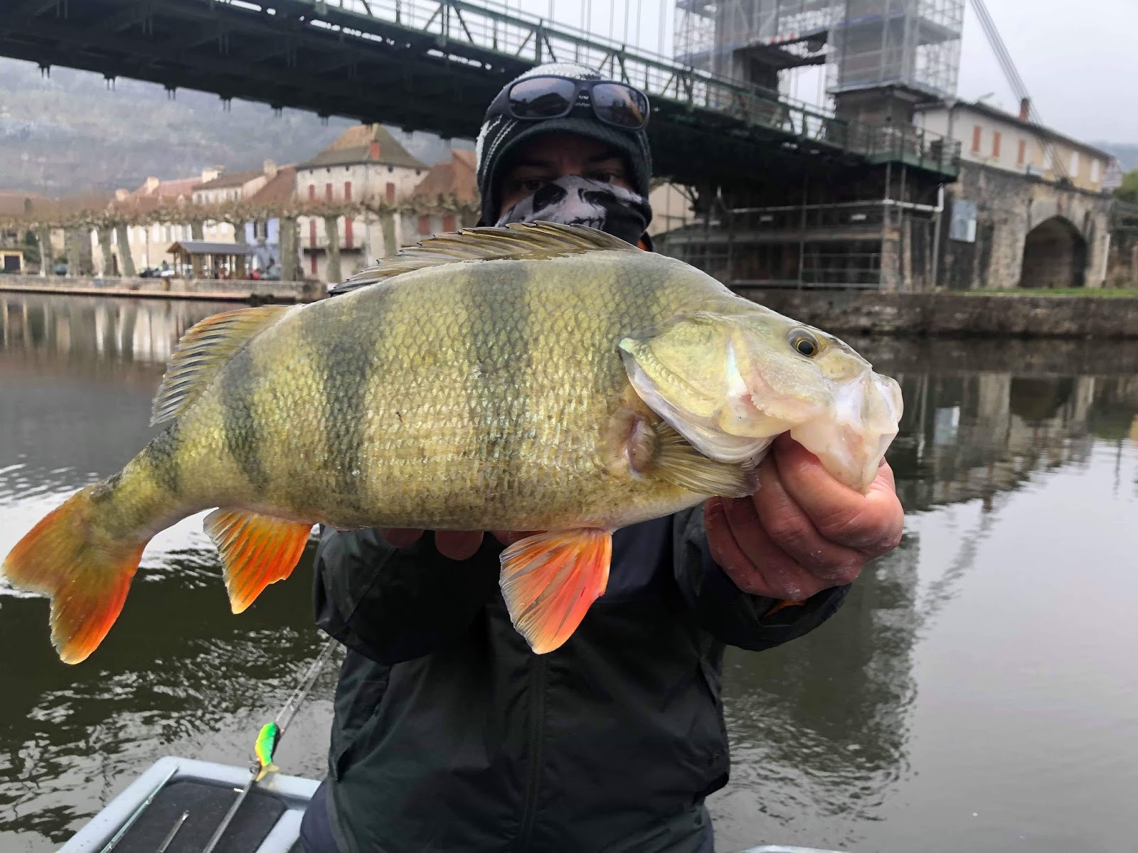 4 techniques de pêche pour attraper des grosses perches