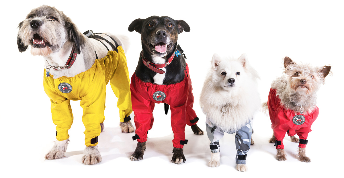 The Dog Trouser Company - Competition | Australian Dog Lover