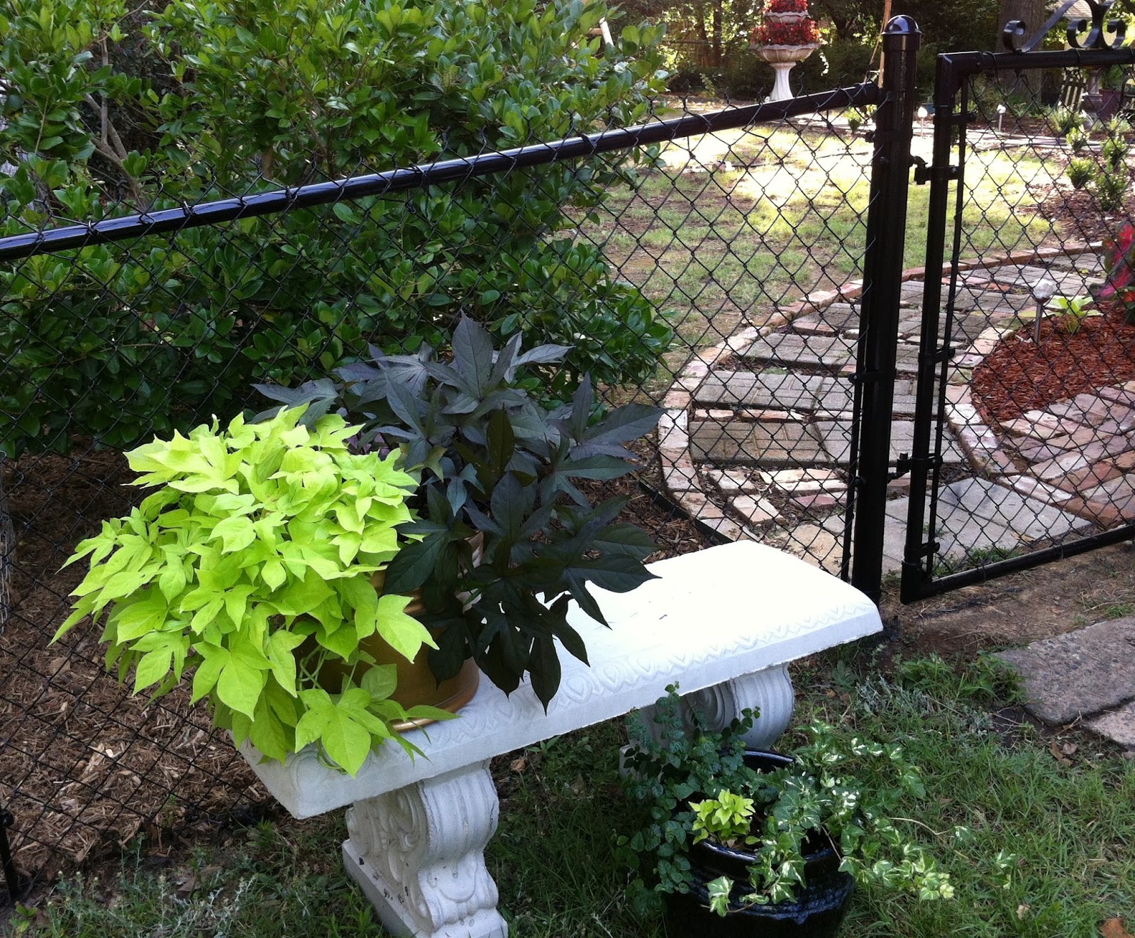 The Gayla Pink Apple : Every Garden Begins With a Gate