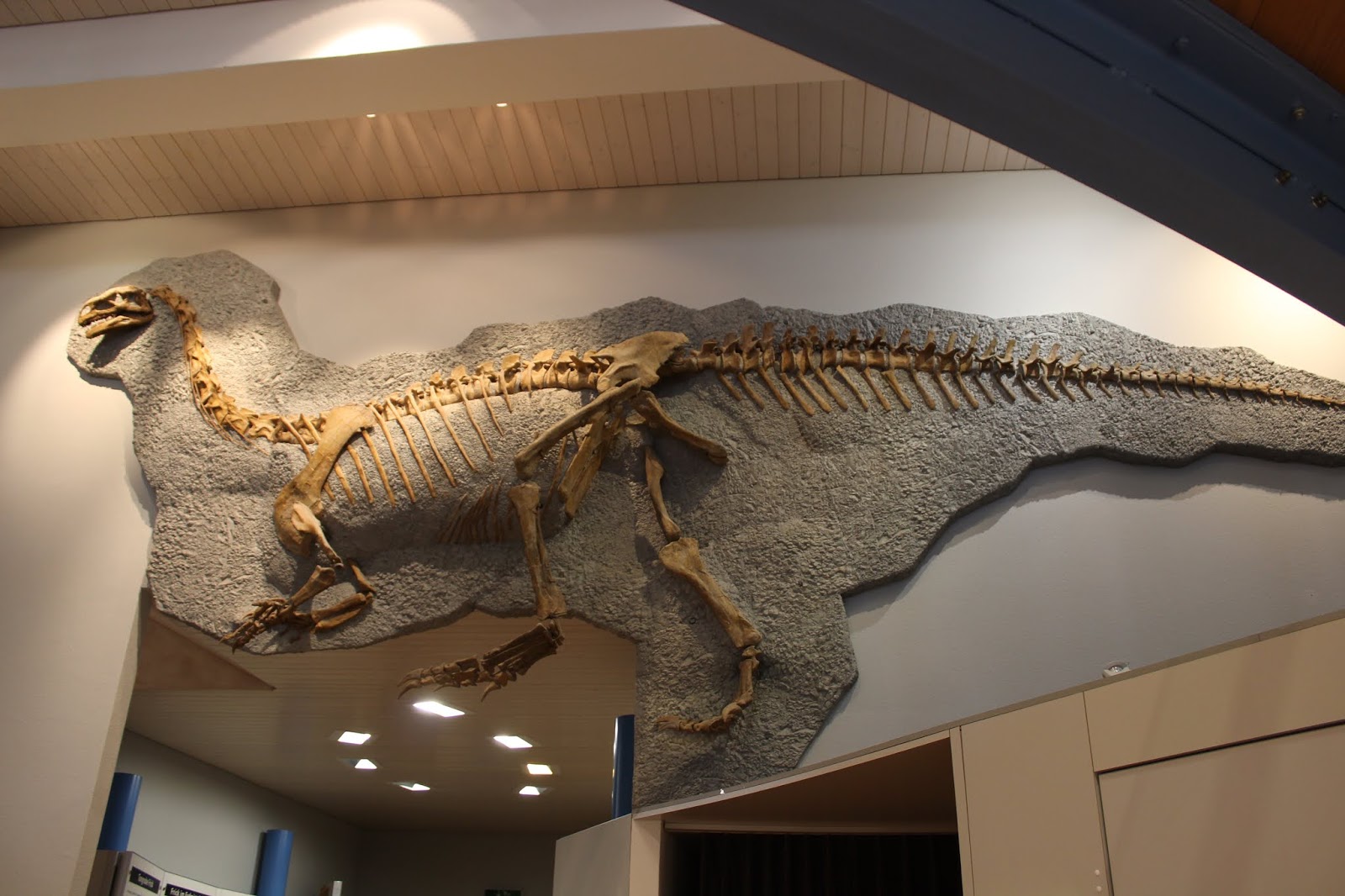 Manospondylus: June 2020