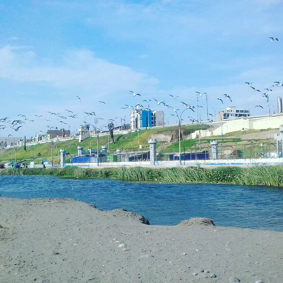 HUACHO PORTAL: LOS HUMEDALES DE LA PLAYA DE HUACHO