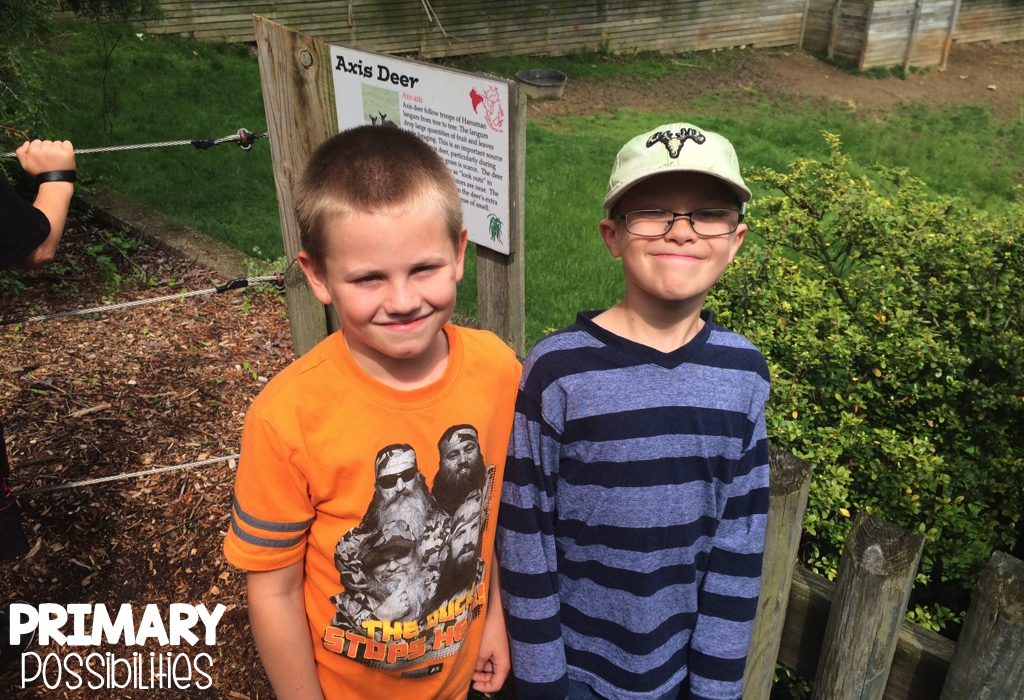 Primary Possibilities: Tips for Looping with Your Class