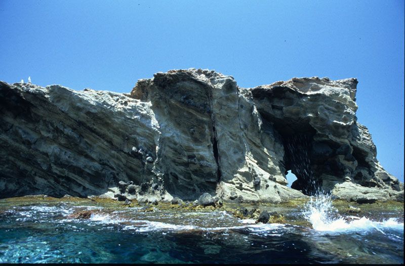 El Nieto del Espartero: Isla de Alboran.-Patrimonio Natural.