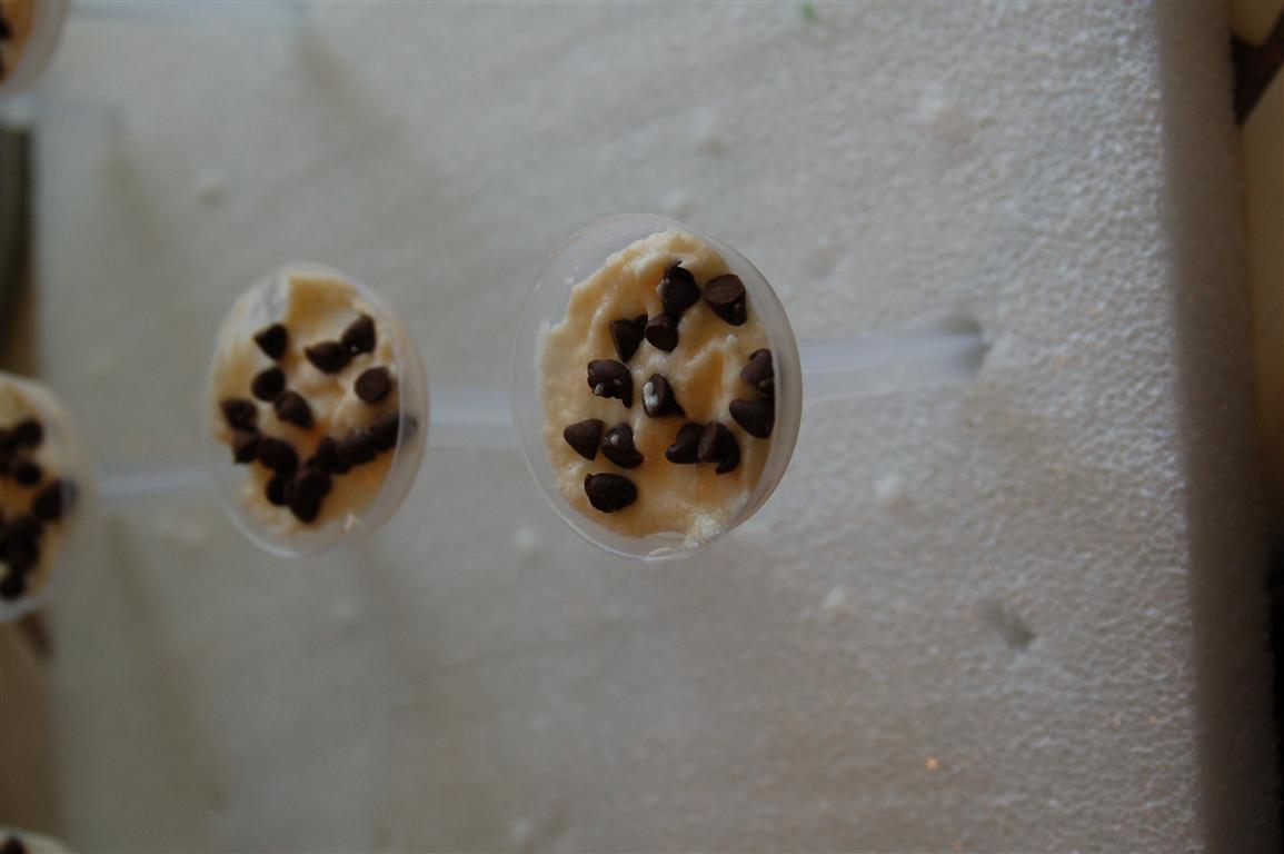 Susan's Sweet Sensations: Chocolate Chip Push-up Pops