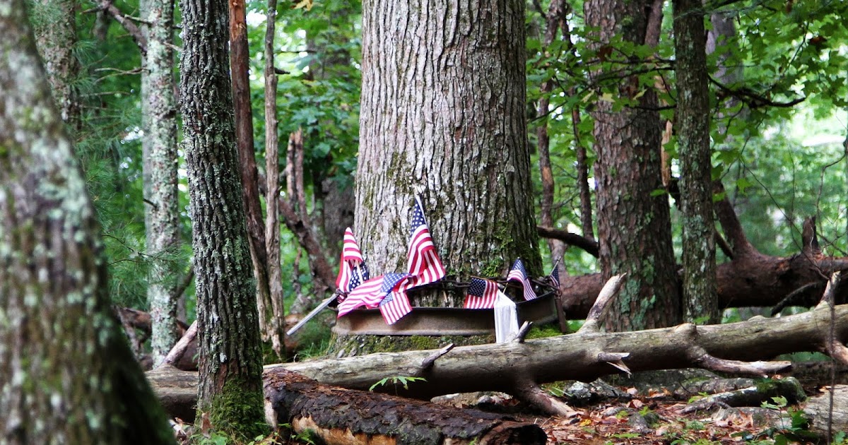 Just A Pic: "Pearl Harbor Tree"