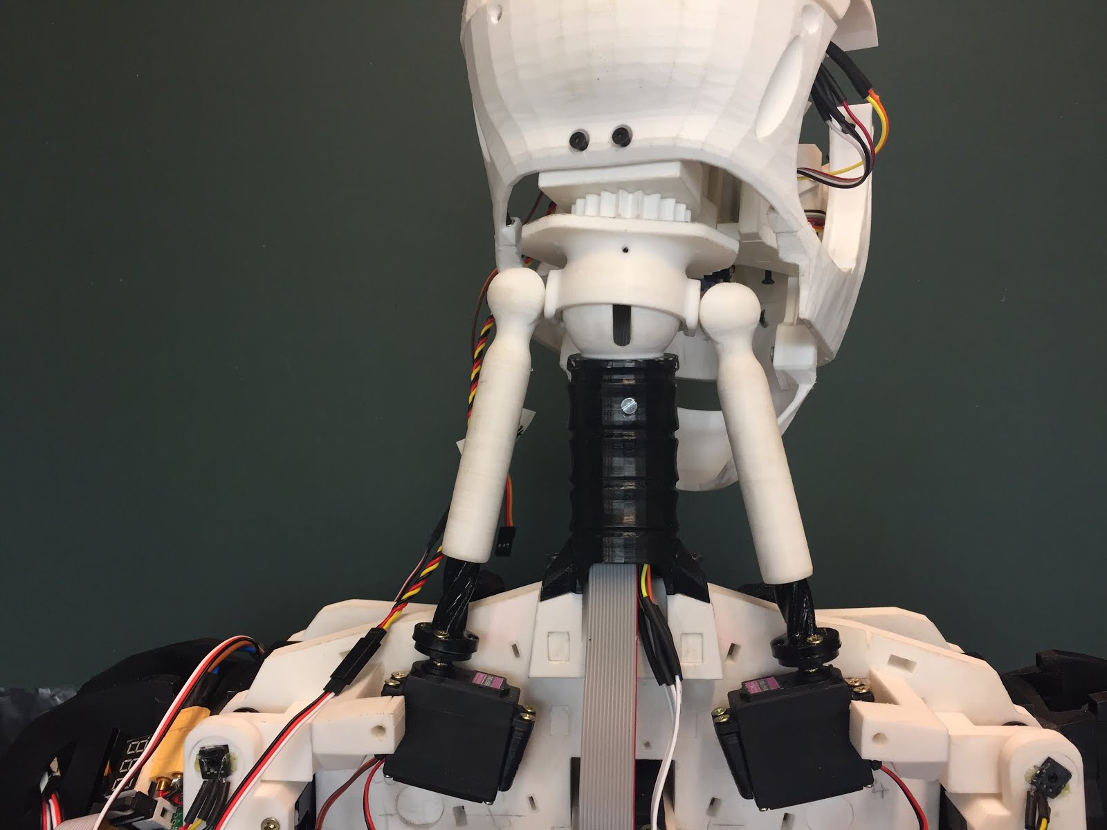 General InMoov and other build photographs