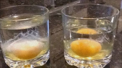 Cleanse with egg: interpretation and meaning 2020 | Ritual Magic Spells