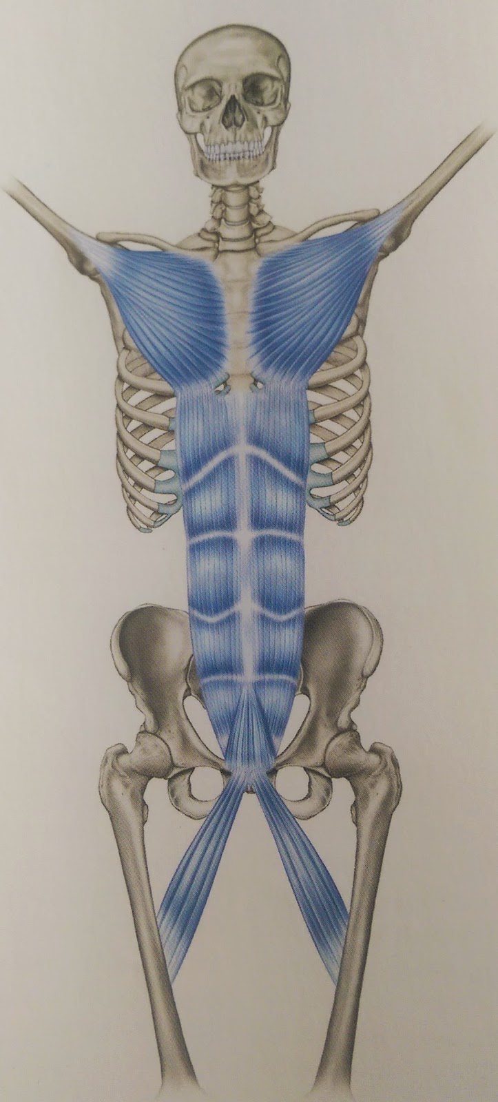 Balance: 9. The Functional Lines