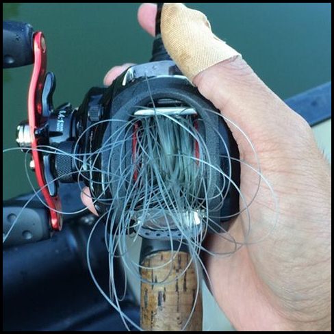 7 Tips Menghindari Backlash Pada Reel Baitcasting Bagi Pemula - Mancing ...