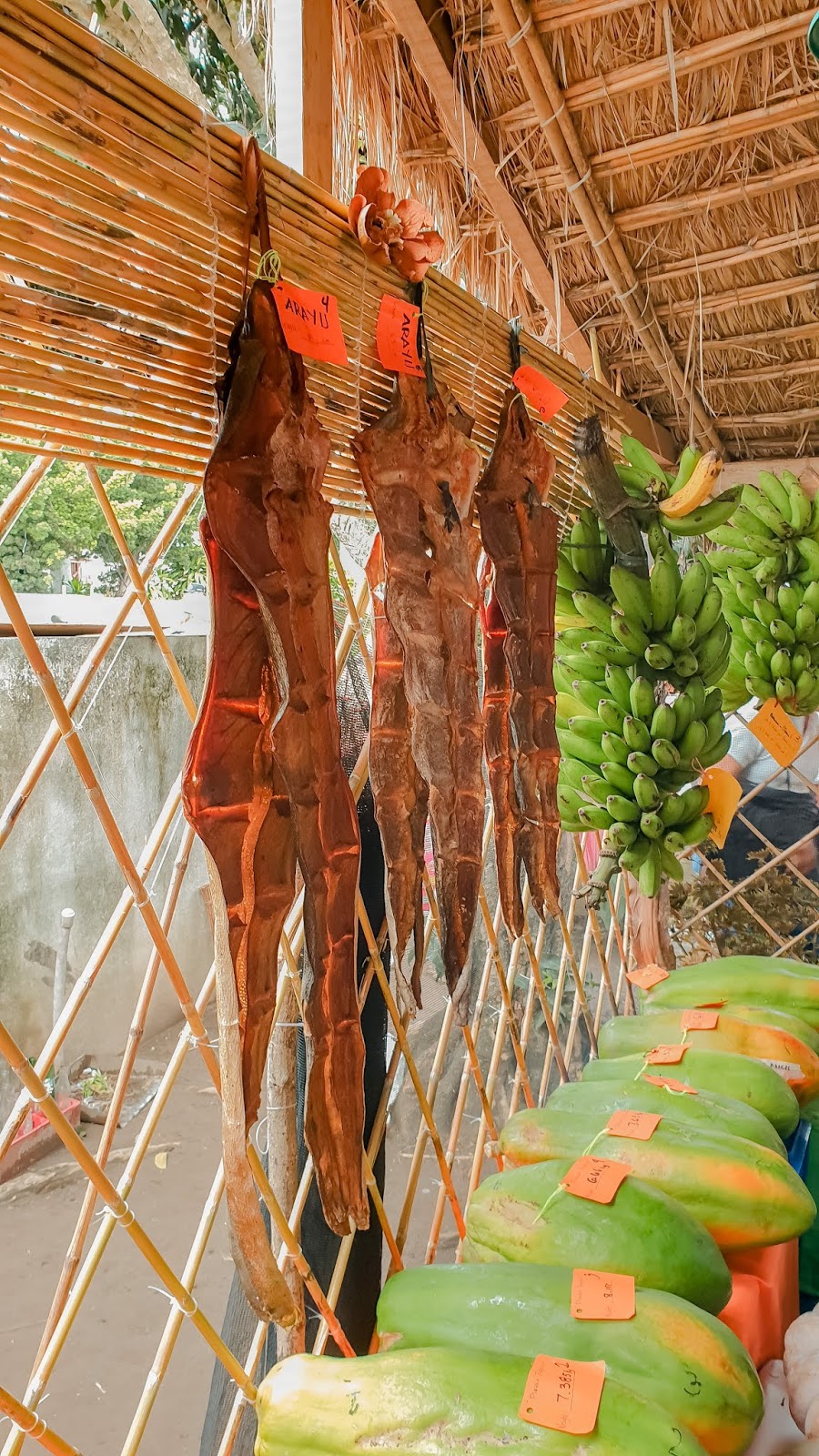 The Best Time to Visit Batanes: Batanes Day | The Girl Behind the Pen