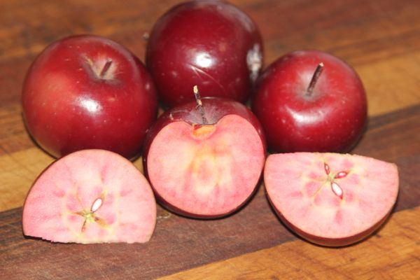 Mudflower: Red Fleshed Apples Australia