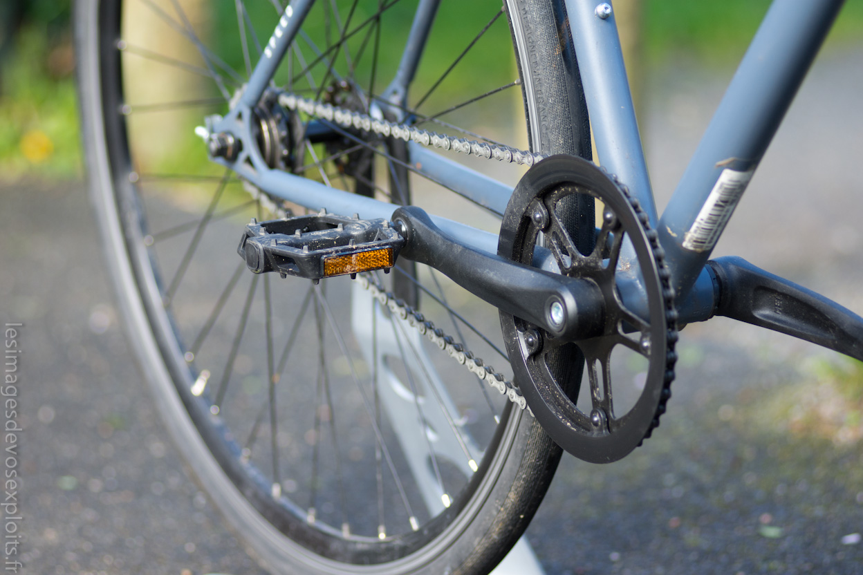 Tom Dussycle: Elops Speed 500 : le single speed pour tous