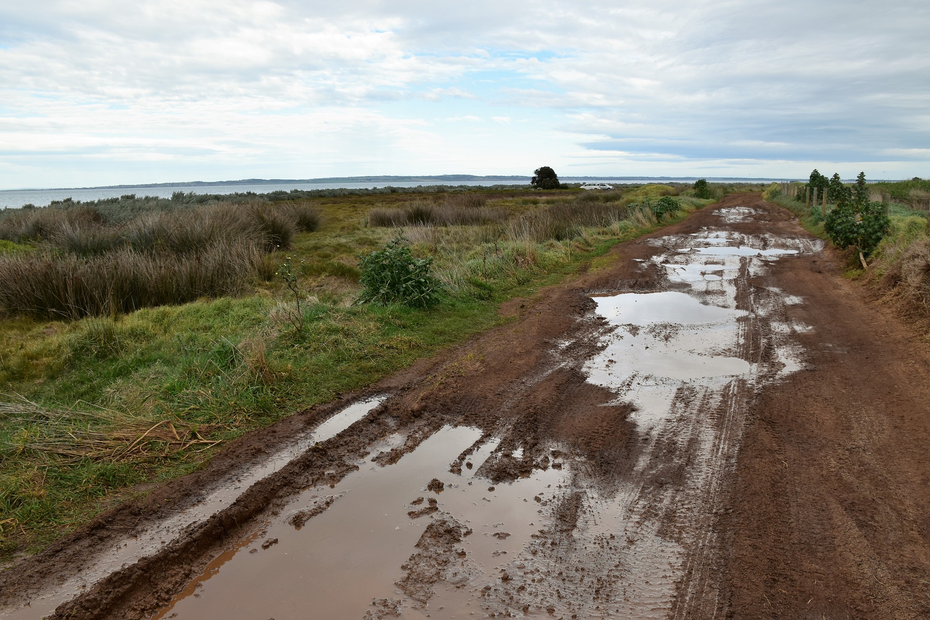 Goin' Feral One Day At A Time: Kirk Point Walk - July 2021