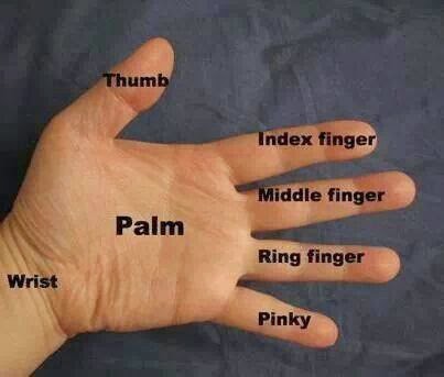 IMAGENS E INFOGRÁFICOS EM INGLÊS: Imagem - Nome dos dedos das mãos em ...