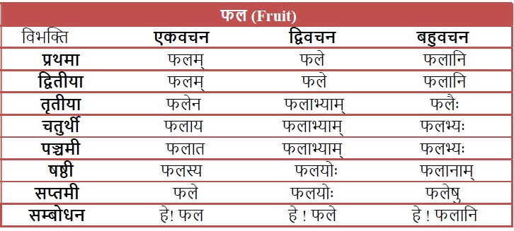 Fala shabd roop in Sanskrit