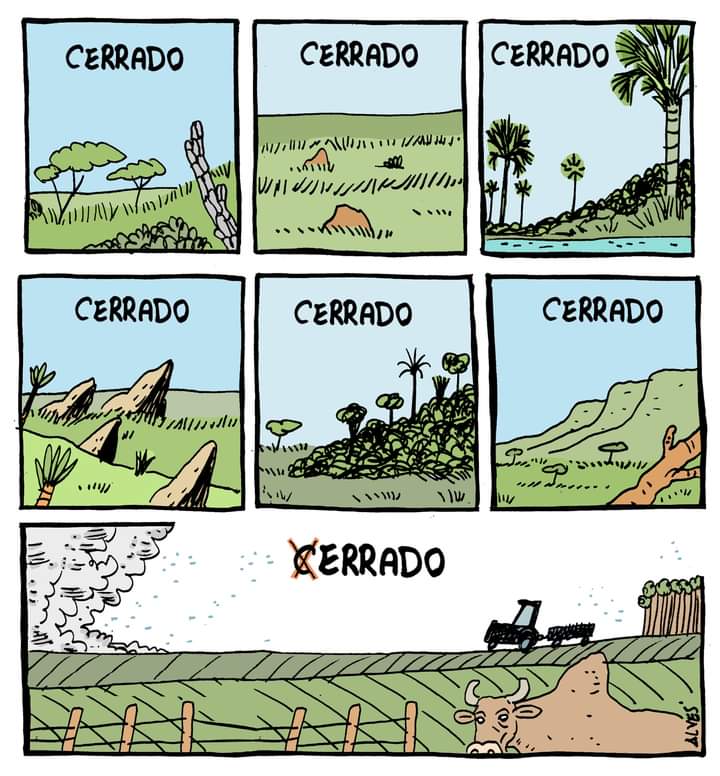 FÓRMULA GEO: Charges sobre a destruição do Cerrado