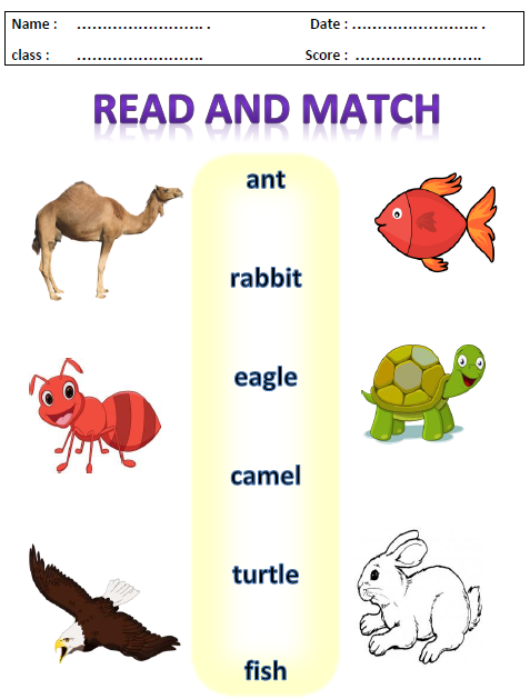 Download (Read and match worksheet about animals ) pdf