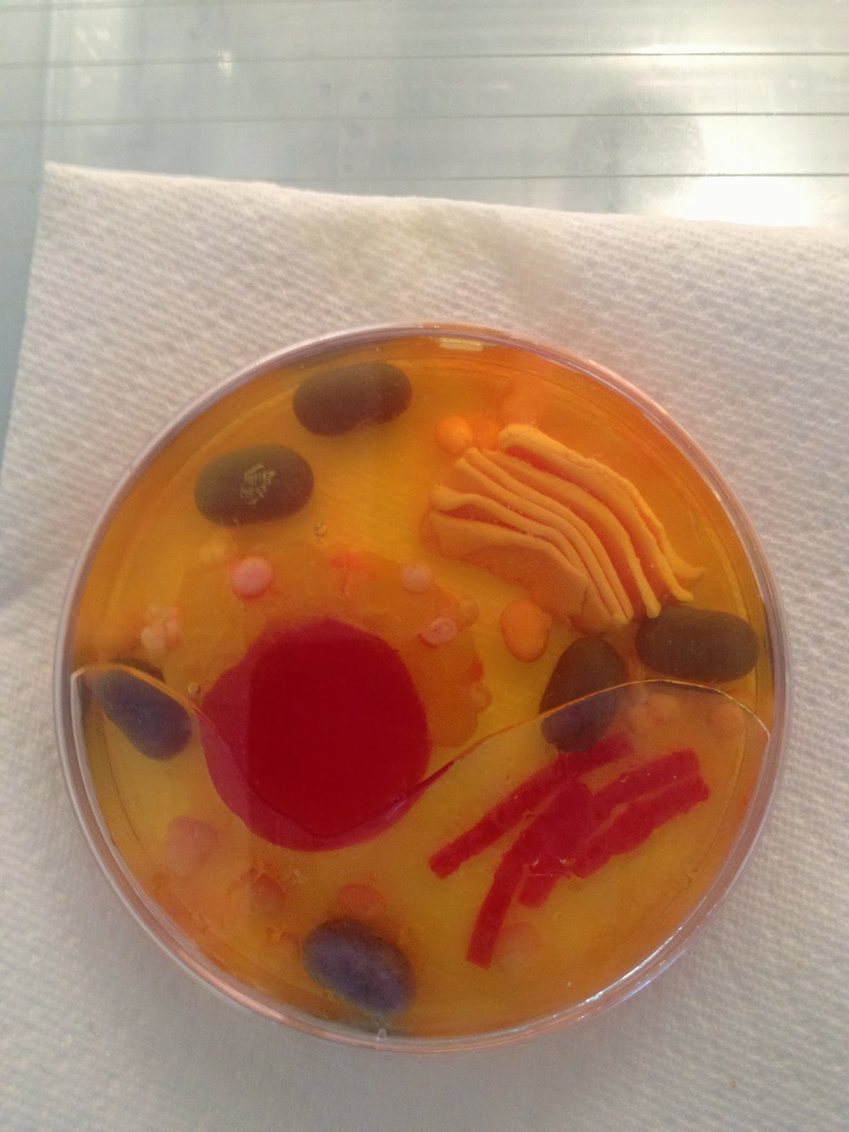 Bill Colazas' Teaching Blog: Jello Cell Assignment
