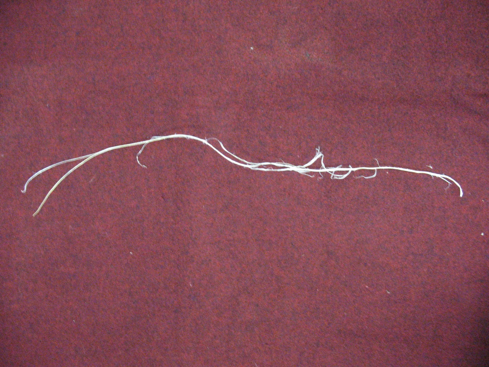 Sensible Survival: How to Sew with Real Sinew