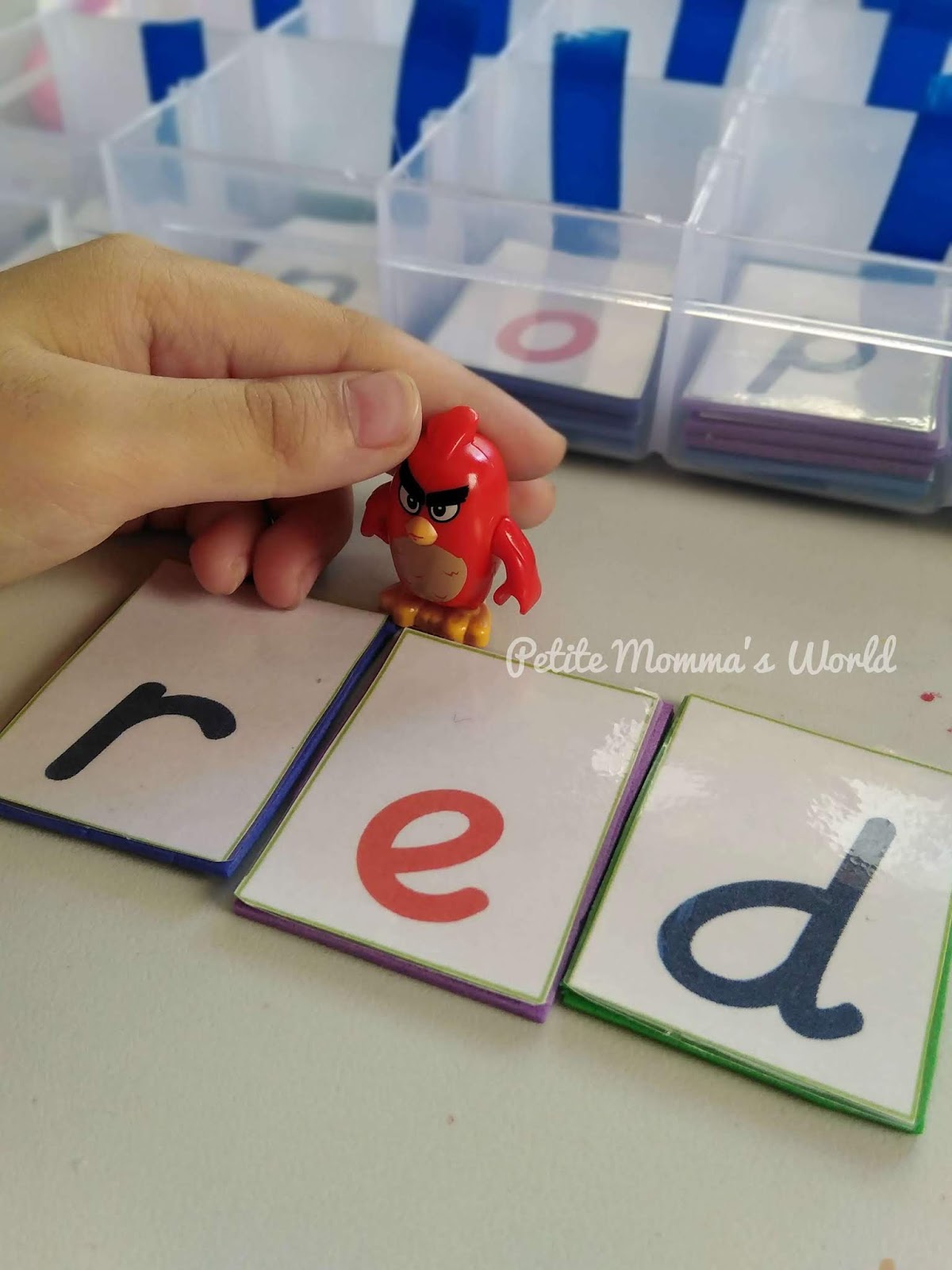 DIY Montessori-Inspired Movable Alphabet