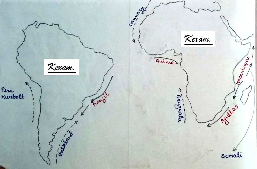 Warm and Cold Ocean Currents Map in NCERT. kexam
