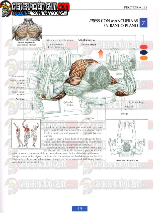 PECHO - GENERACIÓN GYM