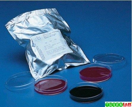 [Microbiology] Atlas of Anaerobes of Clinical Importance | Free Medical ...