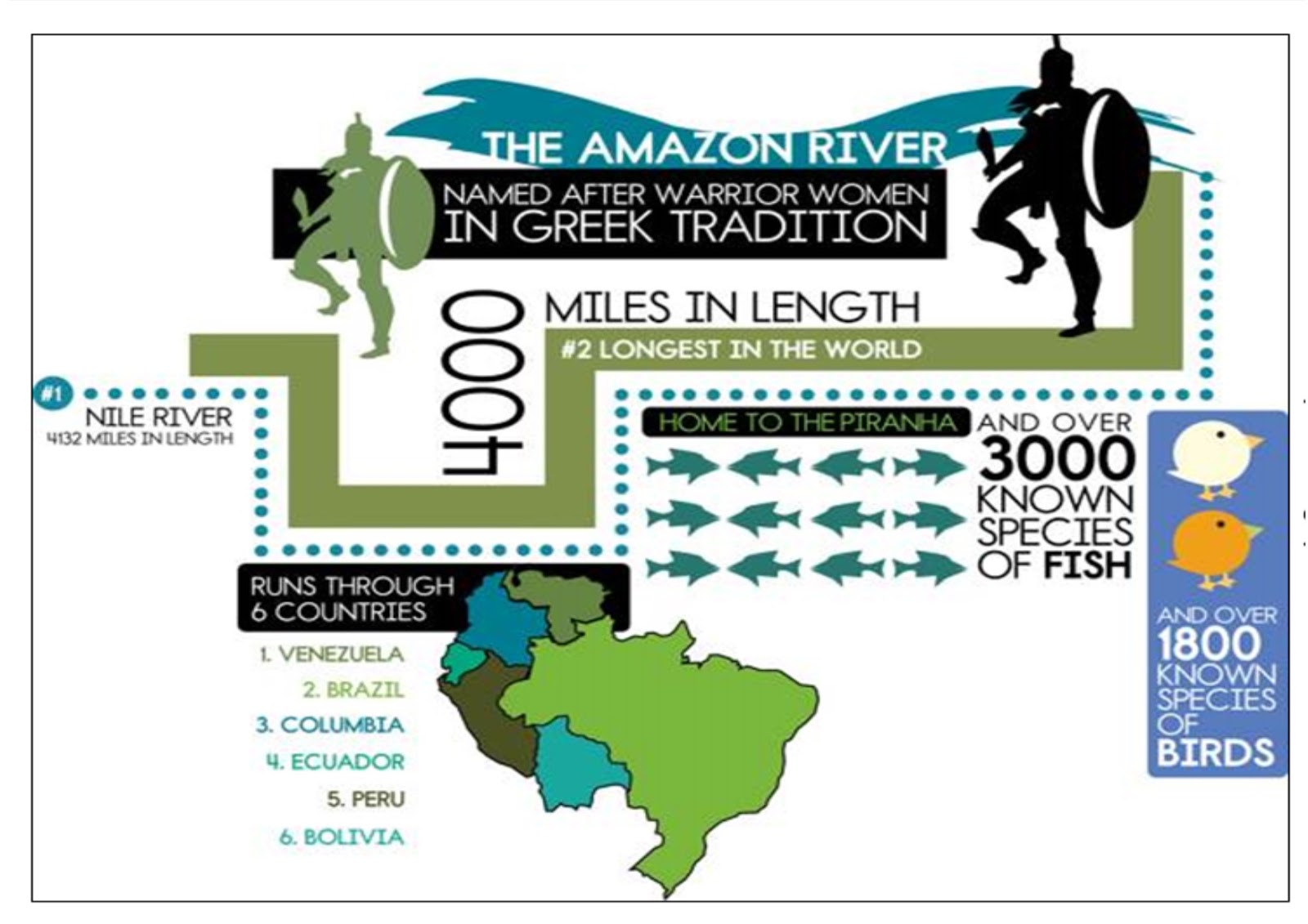 Year 5: Summer Topic pt 2