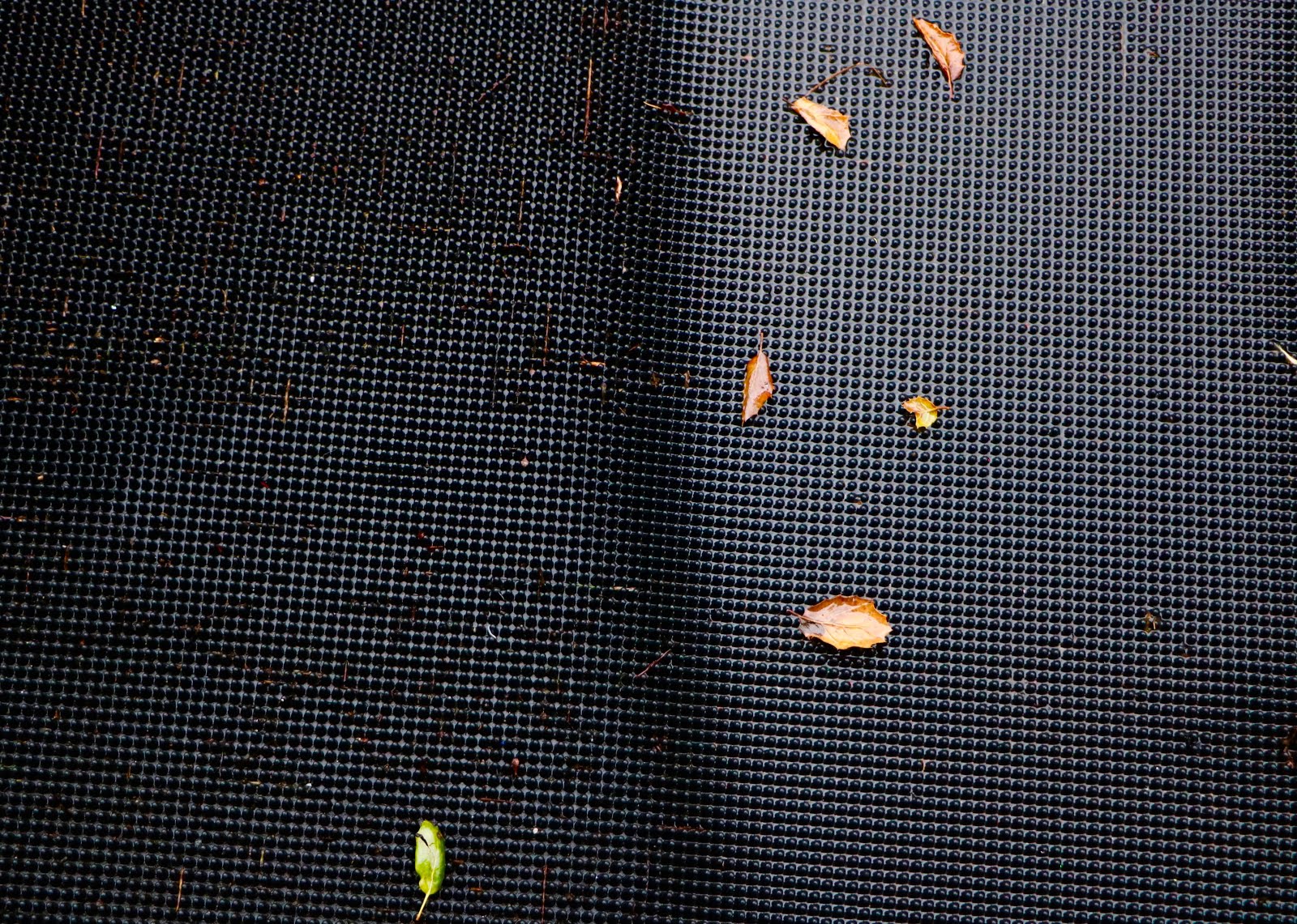 Crystalgraphy: ephemeral moment