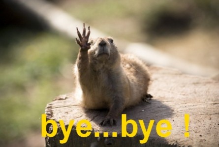 ★Creative Studies@MMu★