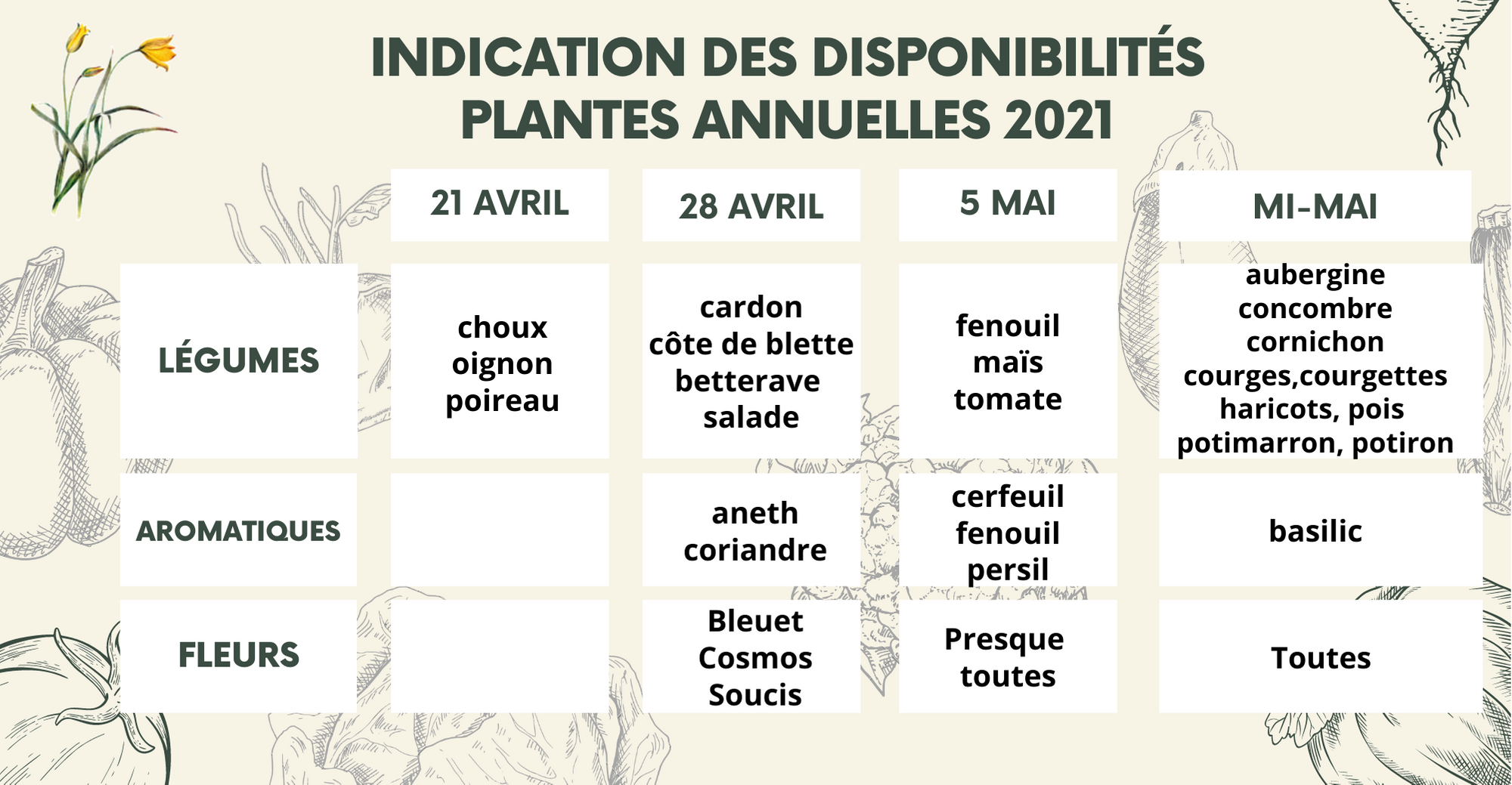 Plantes annuelles 2021