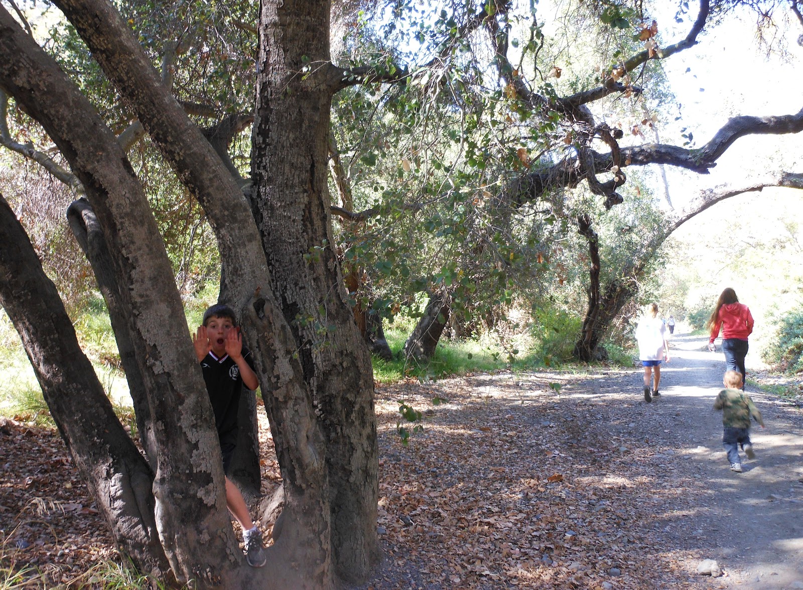 1000 Hikes in 1000 Days: Day 468: Sullivan Canyon Trail - Westridge ...