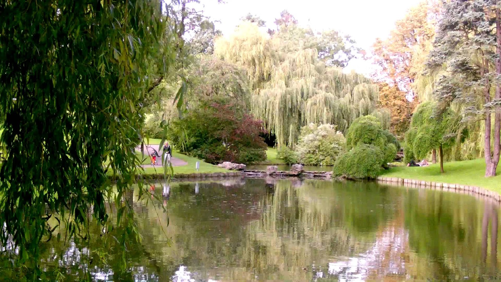 Le Parc Barbieux dit le Beau Jardin: 4 saisons