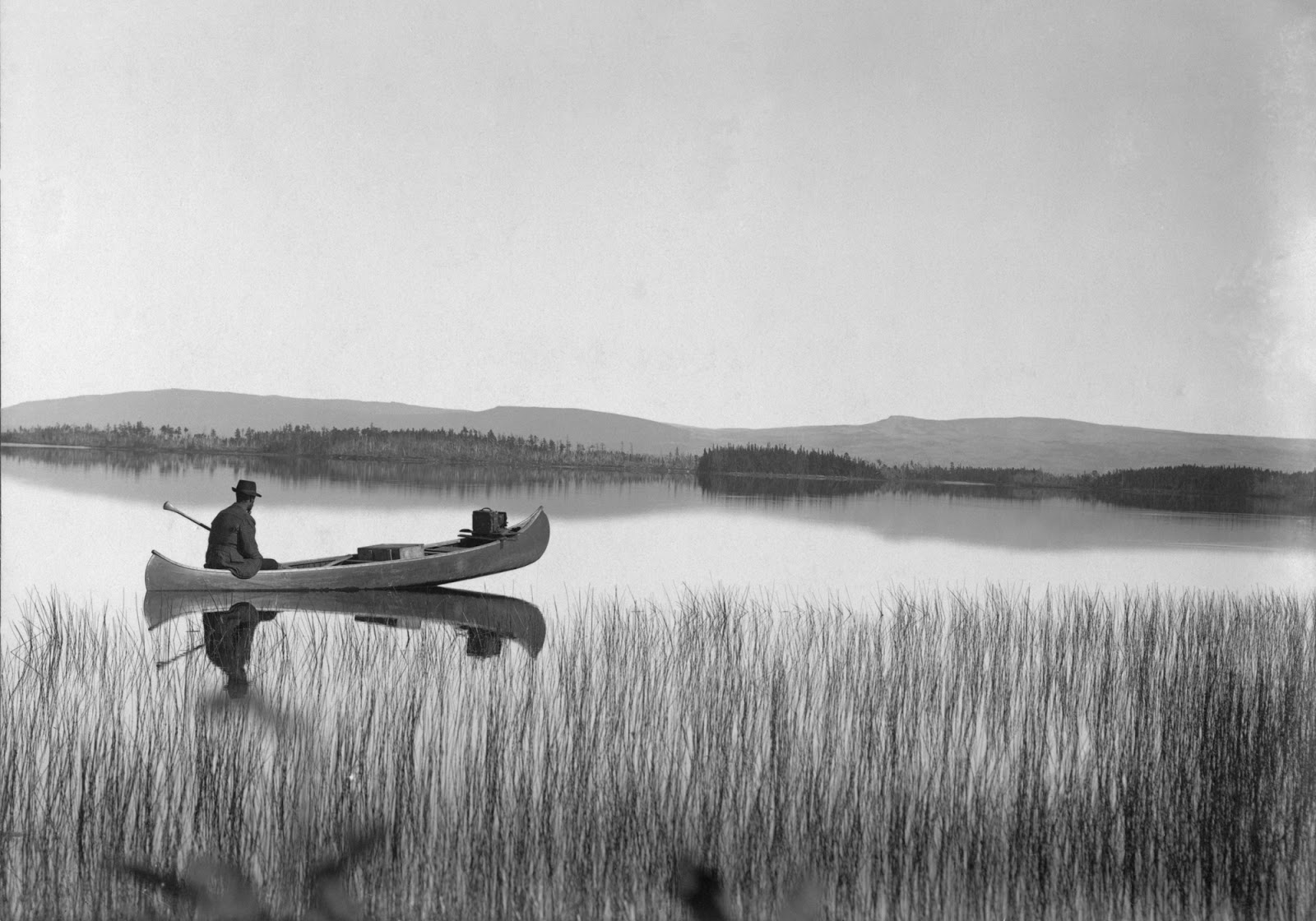 EL ANIMAL INVISIBLE: Caza fotográfica. Un genio de la fotografía ...