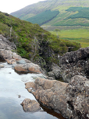 WOOLLIE WANDERINGS: Scotland Delivers.....