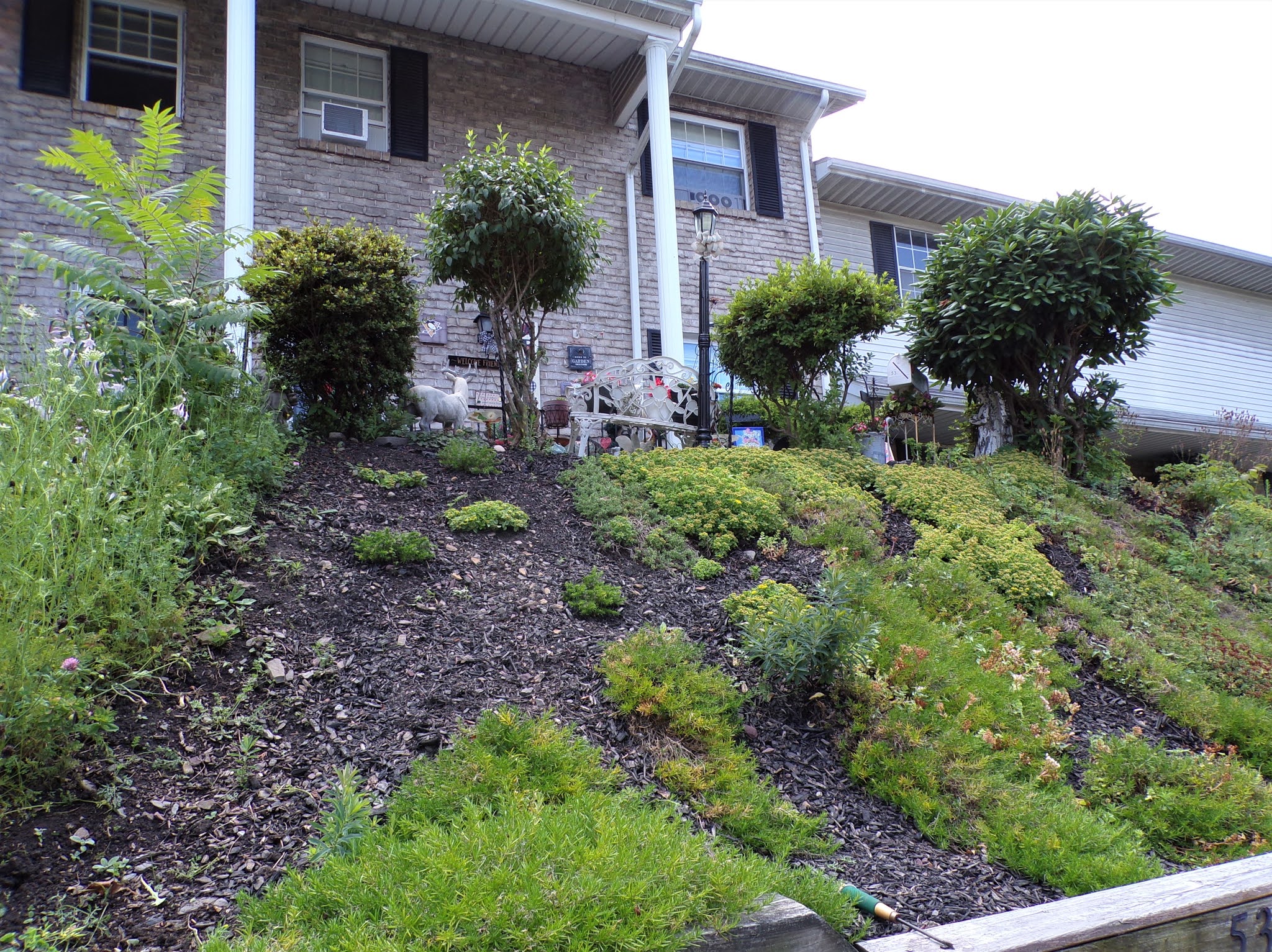DEBBIE-DABBLE BLOG: A HUGE Landscaping Project.....