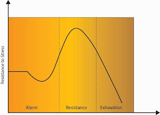 A Better You, to Grow Younger Every Day: Periodization and Responses to ...