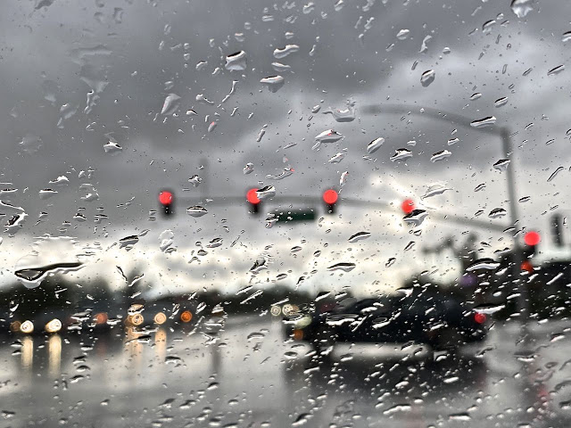 Phoenix Daily Photo: Wild and & Wet Weather Day