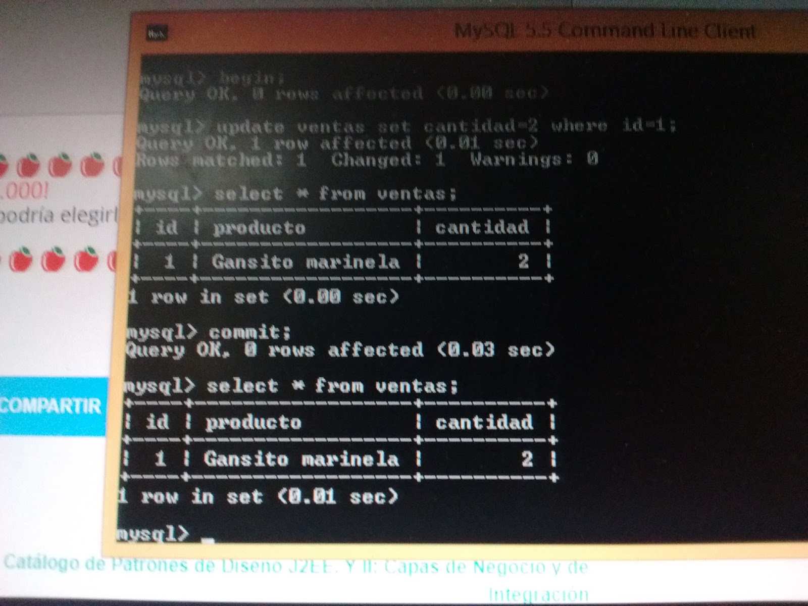 Commit Y Rollback En Mysql