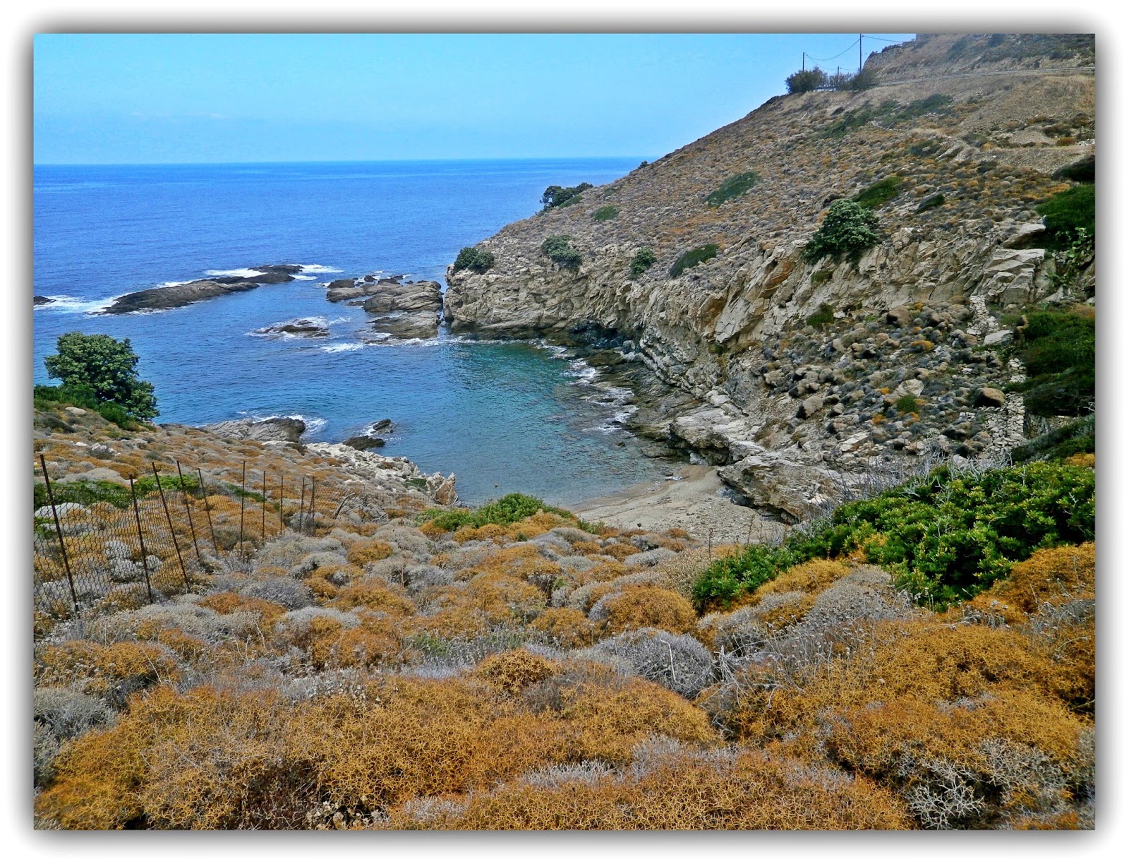 Άρωμα Ικαρίας: Βαθυποταμιά--- Καλαμουρίδα