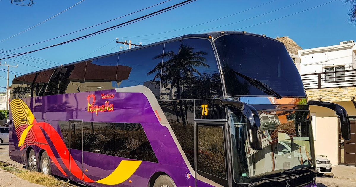 MAXIBUSES: AUTOBUSES TURÍSTICOS PEQUEÑA PLATINUM (TURISMO)