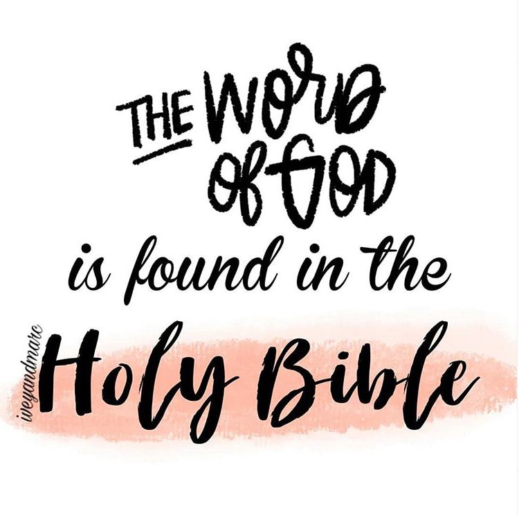 6 Bible Verses That Prove The Holy Bible Is God's Word | Ivey and Marc
