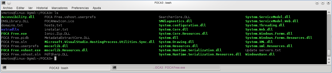 Probando la FOCA 3.0 en Linux
