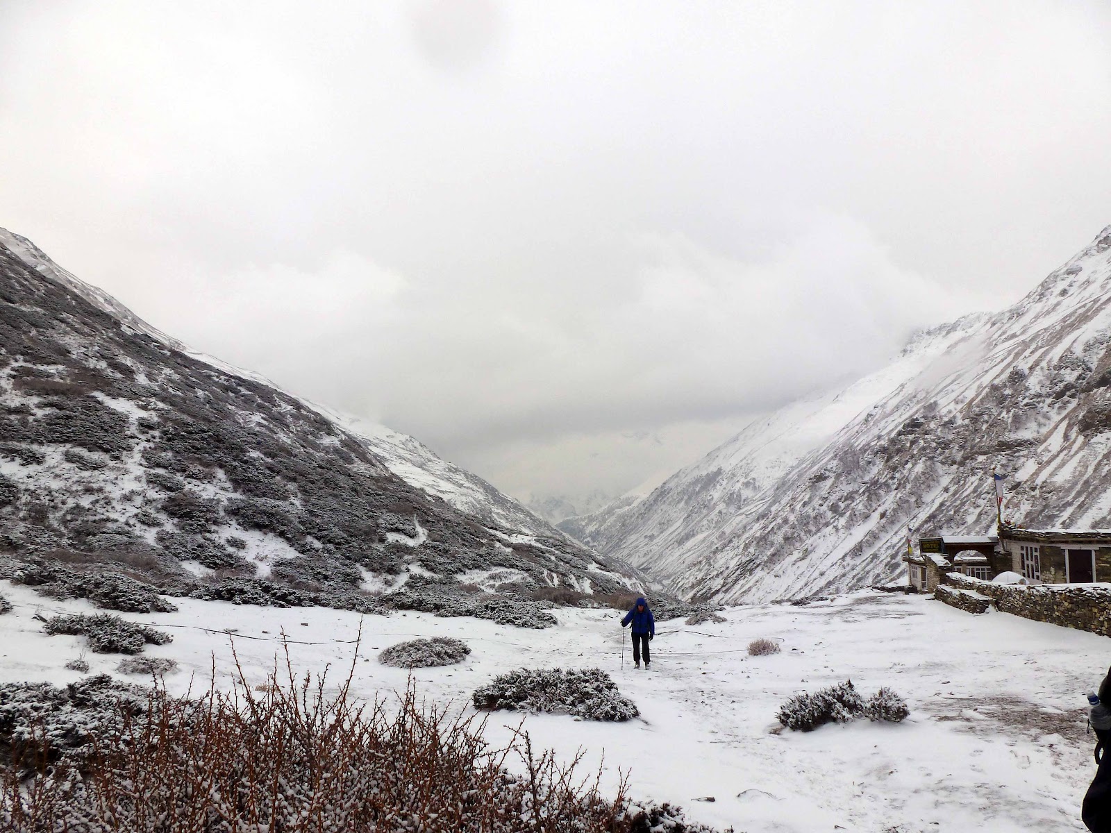 John Hayes Walks: Annapurna Circuit Day 9 Thorung Phedi