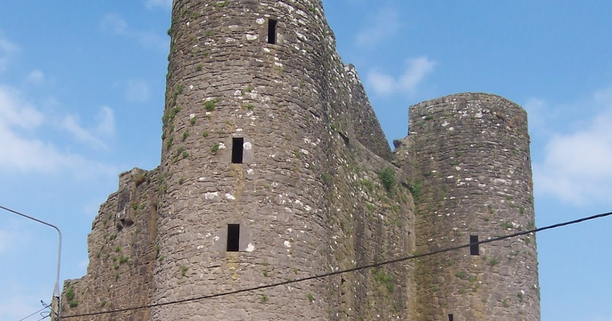 Irish Heraldry: Heraldry at Delvin - Clonyn