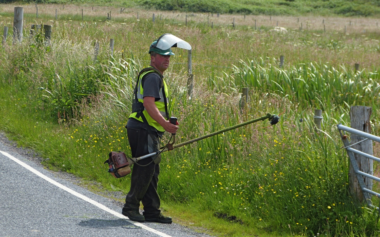 A Kilchoan Diary: Strimmer Man