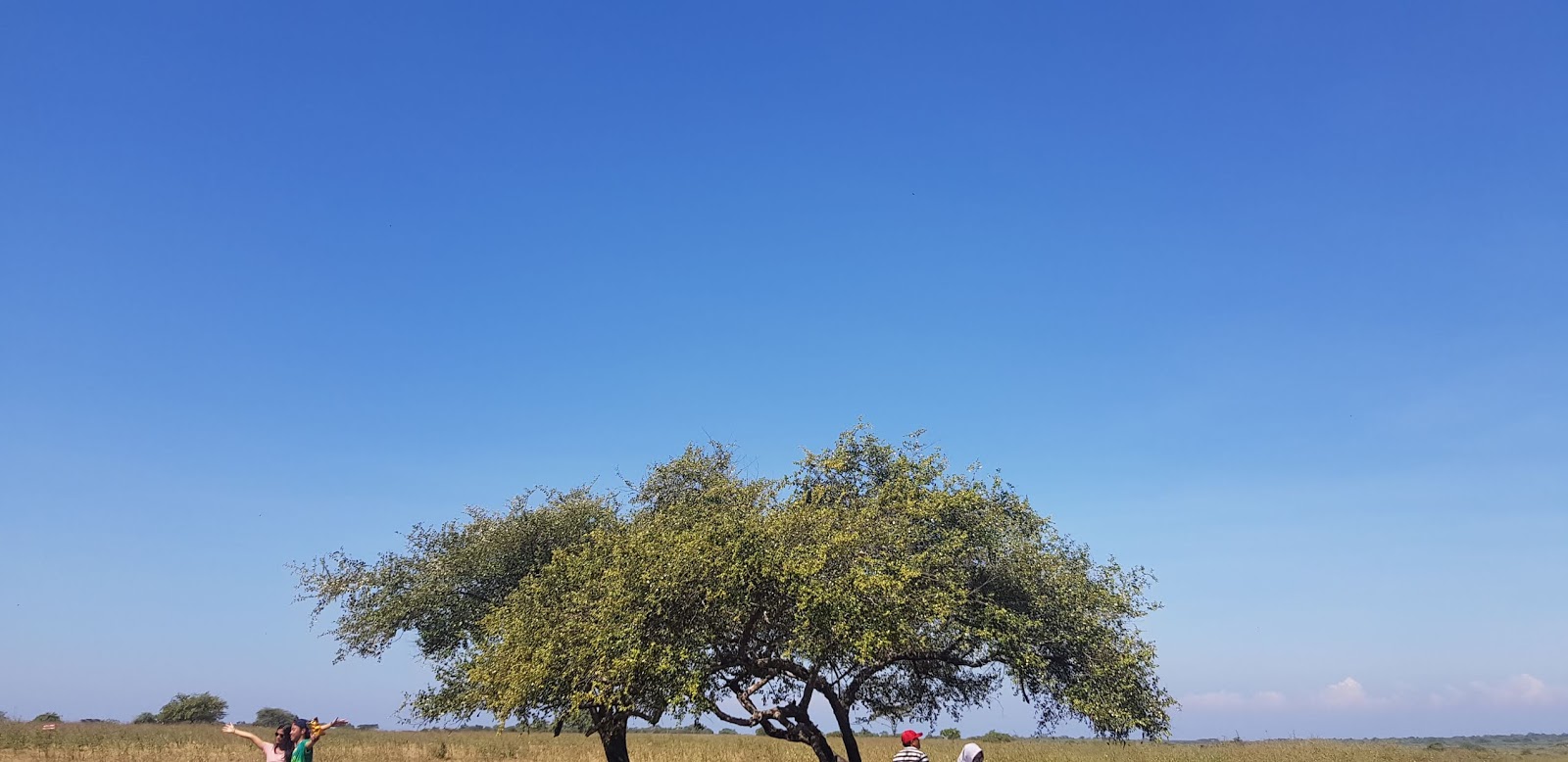 Pesona Taman Nasional Baluran, The Africa Van Java - Seni Mendidik Anak
