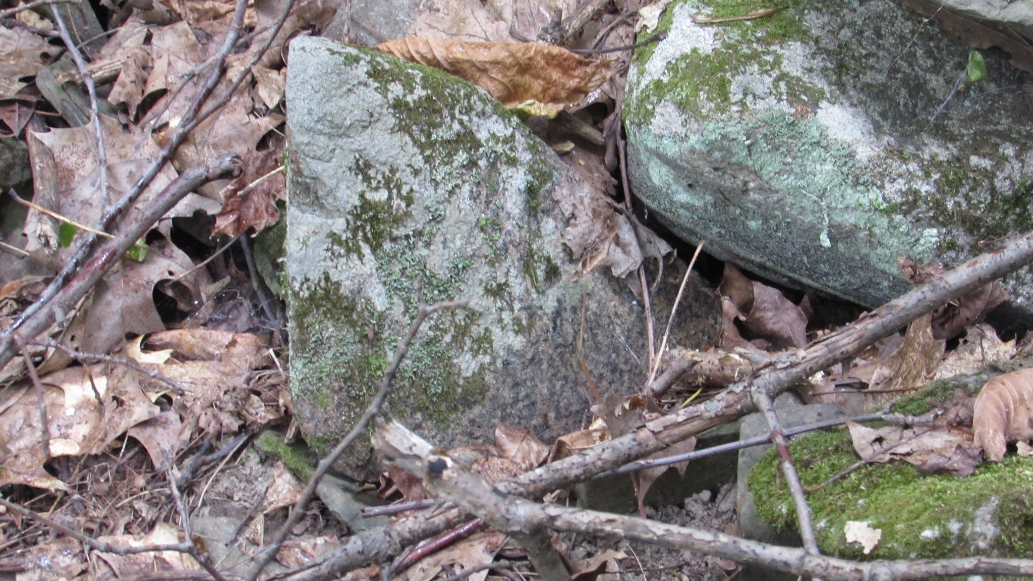 Clarks Gully NY--Ancient Sacred Site: Labor Day Weekend 2020--Manitou ...